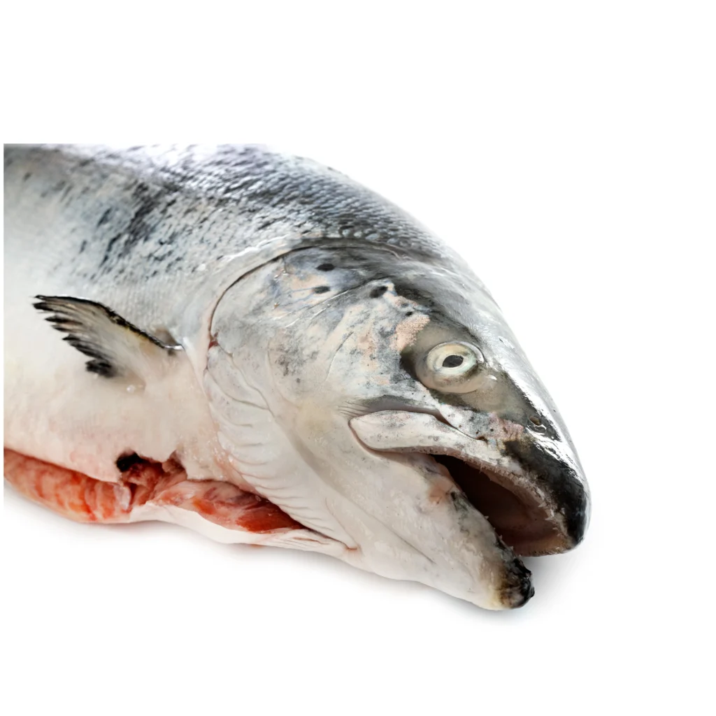 CABEZA DE SALMON - Fresmar